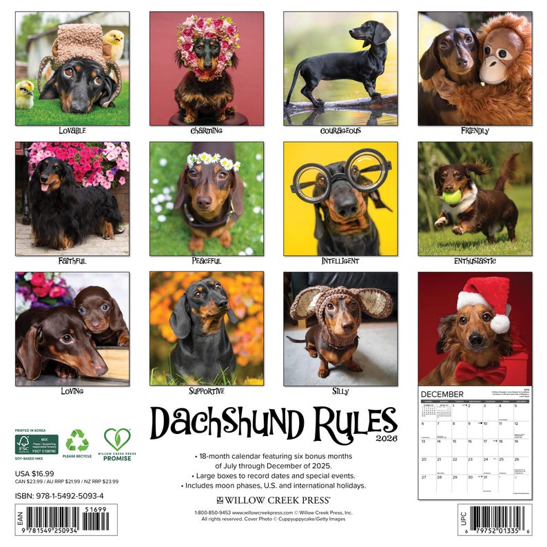 Dachshund Rules 2026 12" X 12" Wall Calendar - Etsy