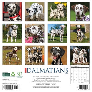 Dalmatians 2025 12" X 12" Wall Calendar - Etsy