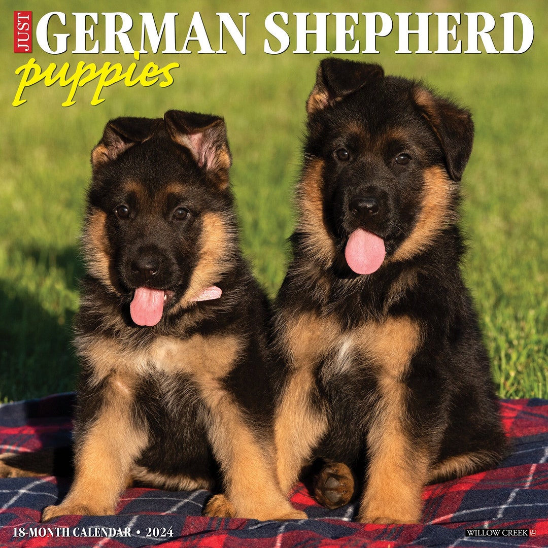Just German Shepherd Puppies 2024 12 X 12 Wall Calendar - Etsy