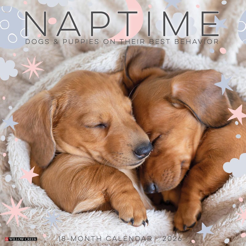 2026 Dog Calendars - Etsy