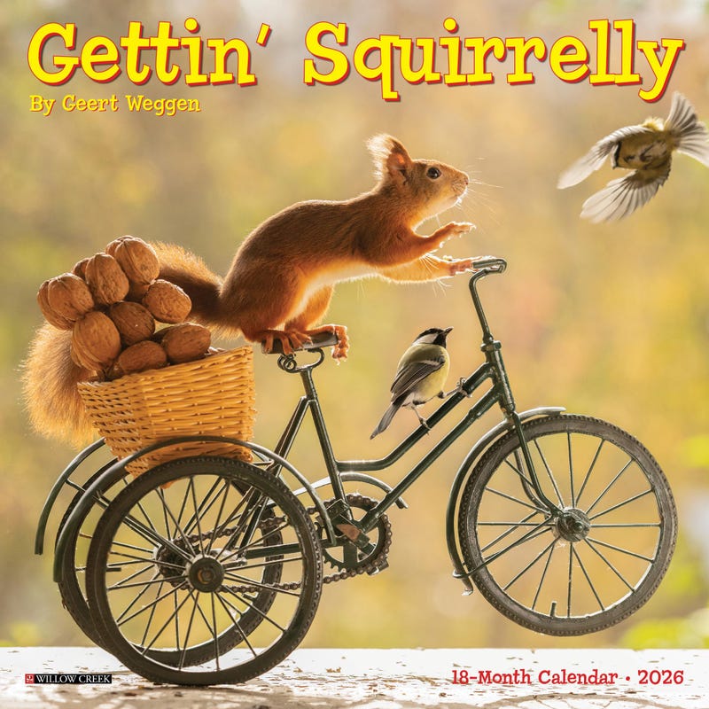 7x7 Wall Calendar 2026 - Etsy