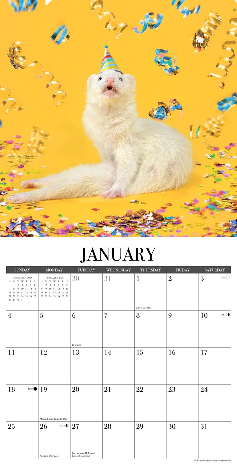 Modern Ferret (the) 2026 12" X 12" Wall Calendar - Etsy