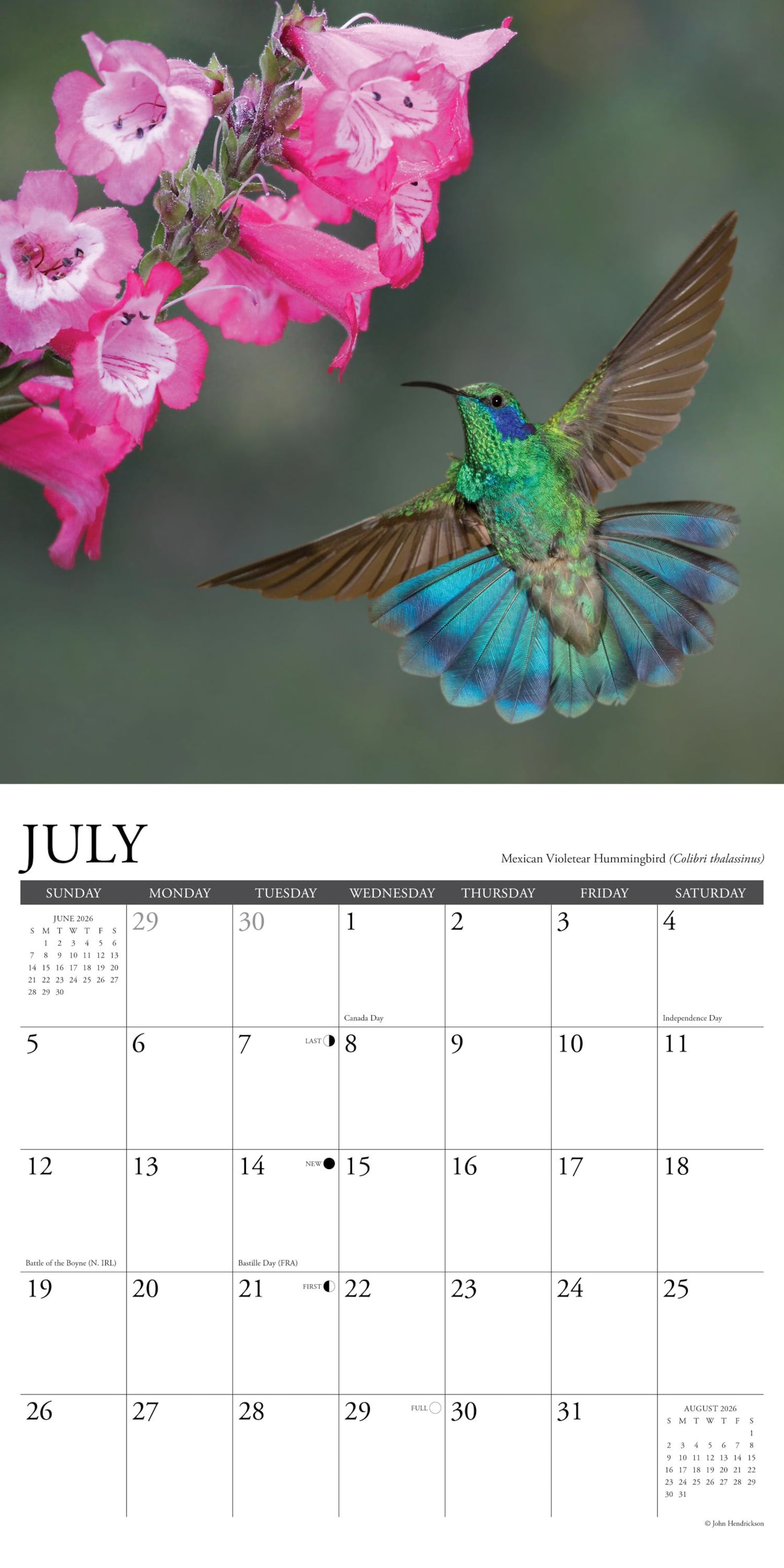 Hummingbirds 2026 12" X 12" Wall Calendar - Etsy