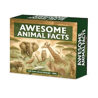 30 ANIMAL FACTS | Flashcards | Farm Animals | Zoo Animals | Wildlife ...