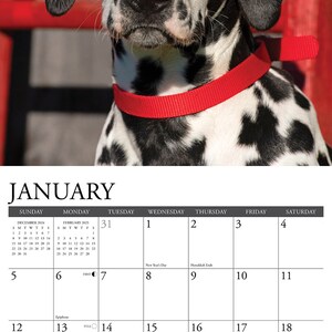 Dalmatians 2025 12" X 12" Wall Calendar - Etsy