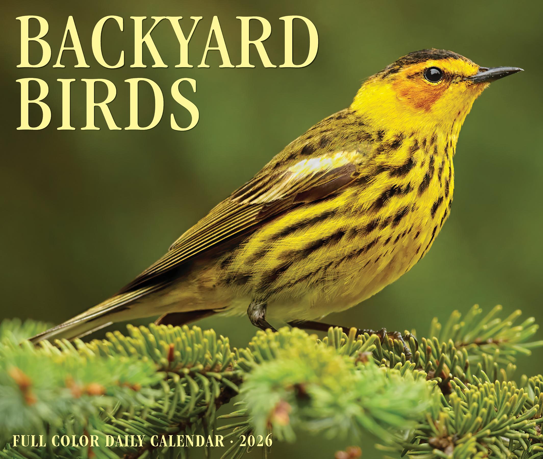 Backyard Birds 2026 Box Calendar - Etsy