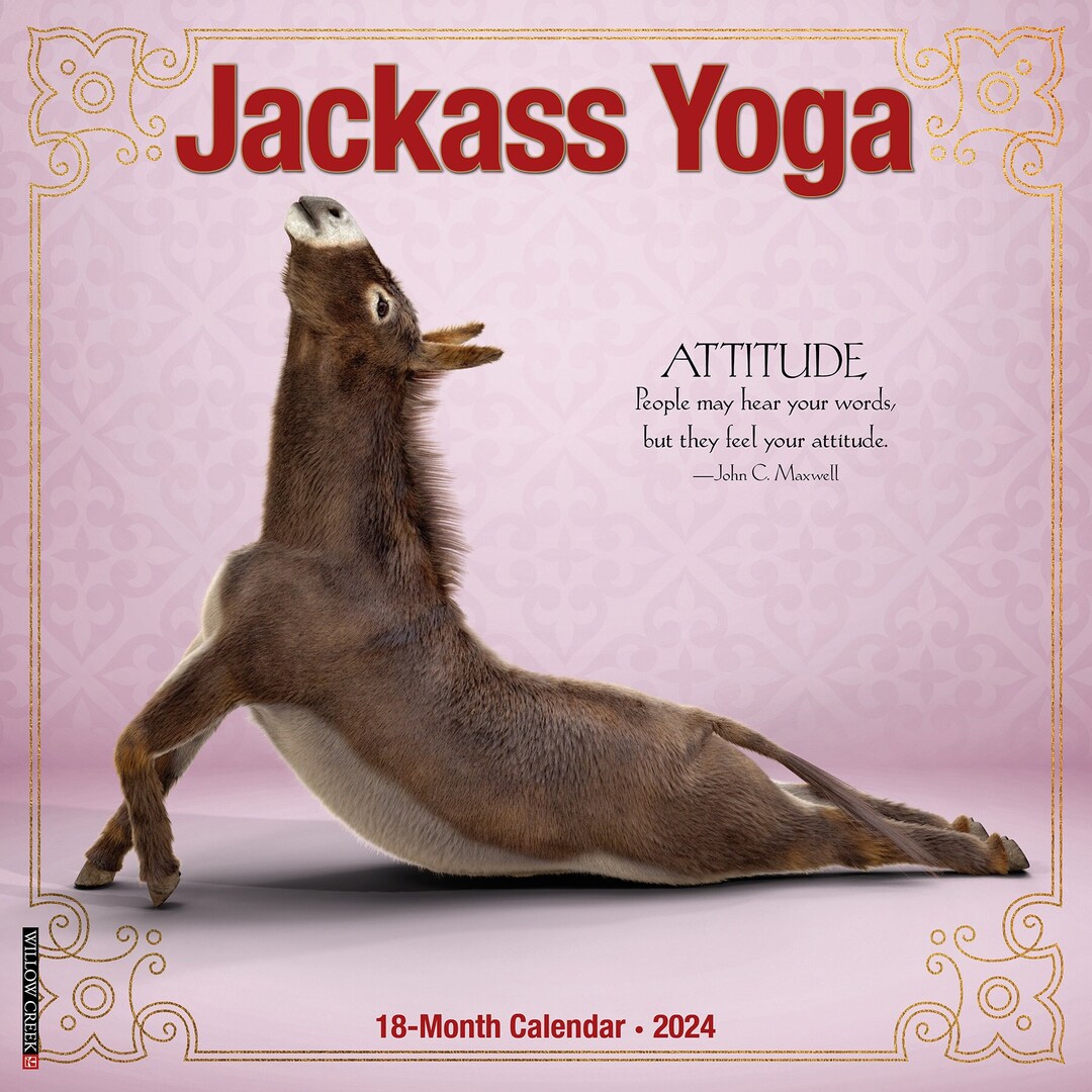 Jackass Yoga 2024 12 X 12 Wall Calendar - Etsy