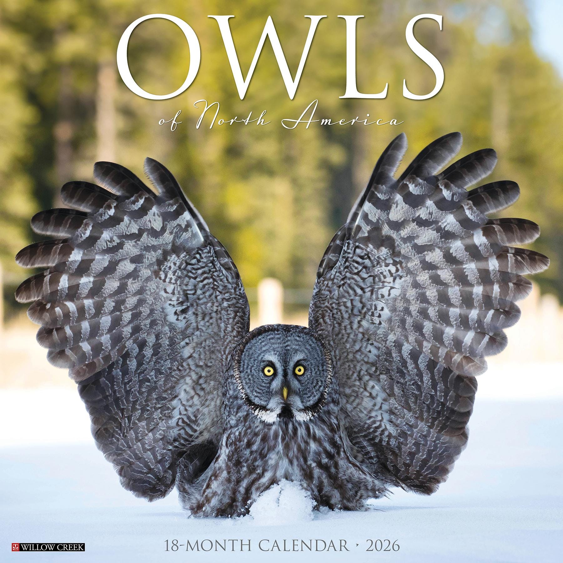 Owls 2026 12" X 12" Wall Calendar - Etsy