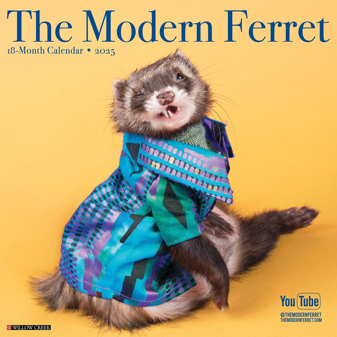 Modern Ferret (the) 2025 12" X 12" Wall Calendar - Etsy