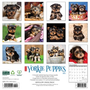 Yorkie Puppies 2025 12" X 12" Wall Calendar - Etsy