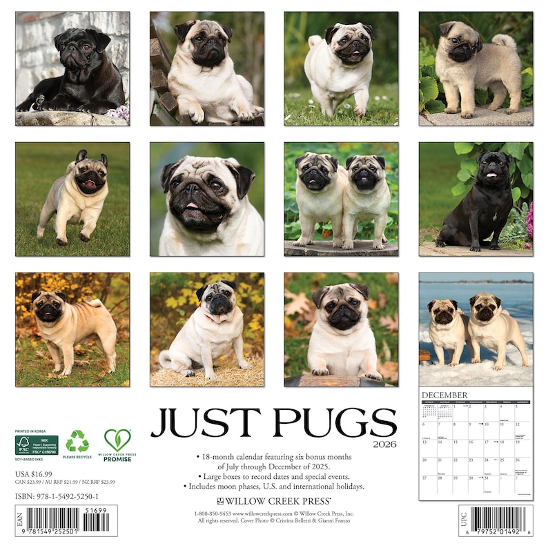 Pugs 2026 12" X 12" Wall Calendar - Etsy