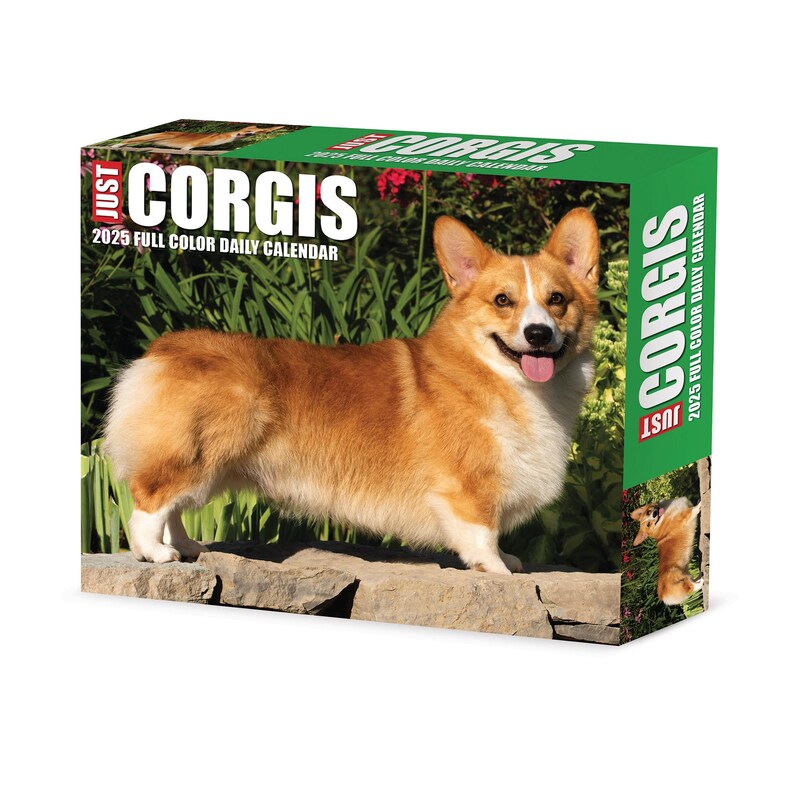 Corgis - Etsy