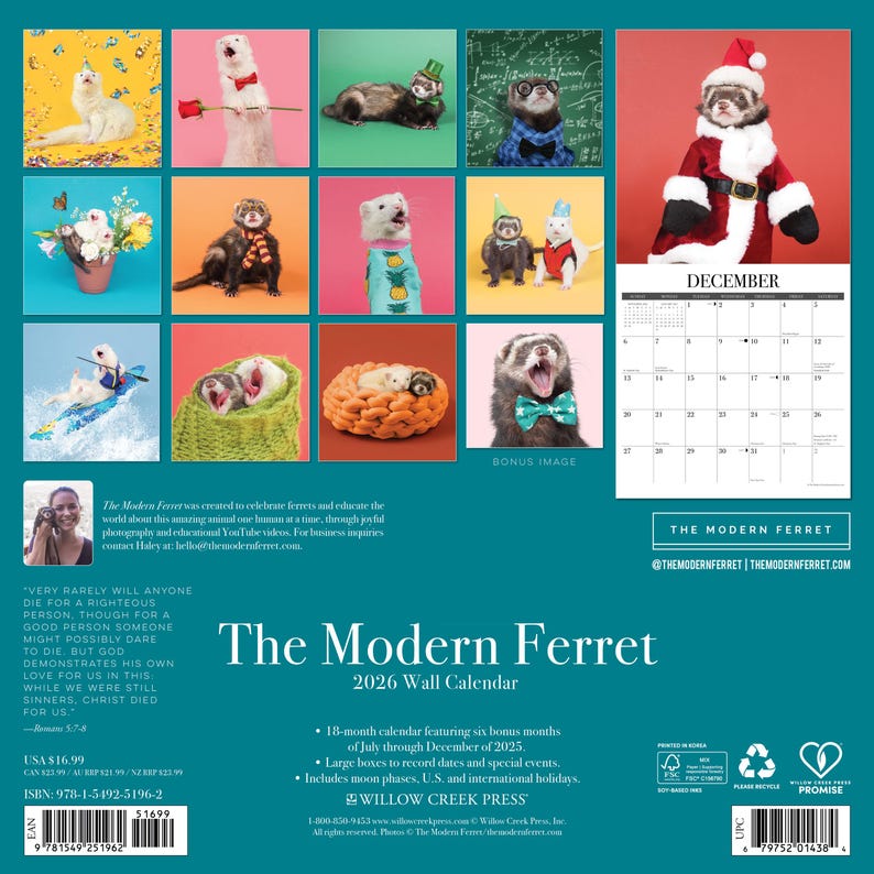 Modern Ferret (the) 2026 12" X 12" Wall Calendar - Etsy