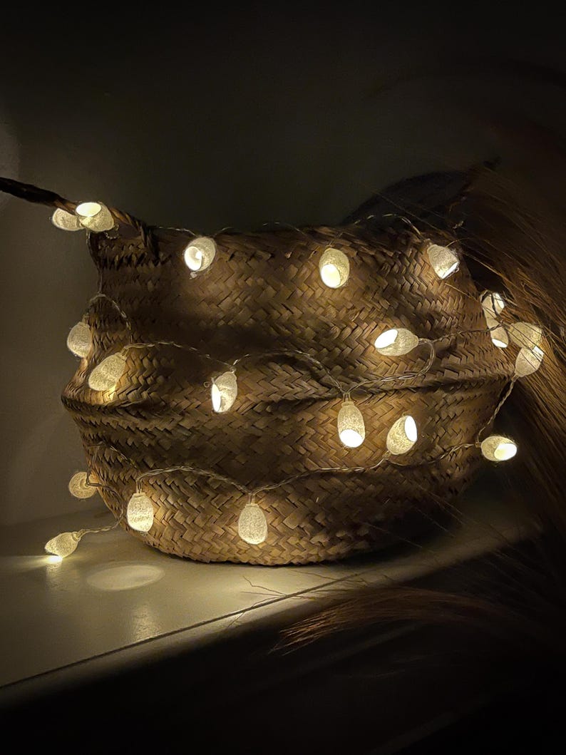 LED String Lights With White Silkworm Cocoons, Easter Decoration ...