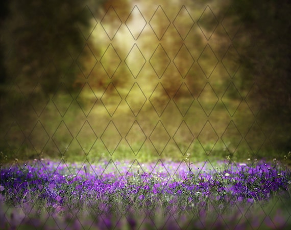 Fantasy Background Field Photo