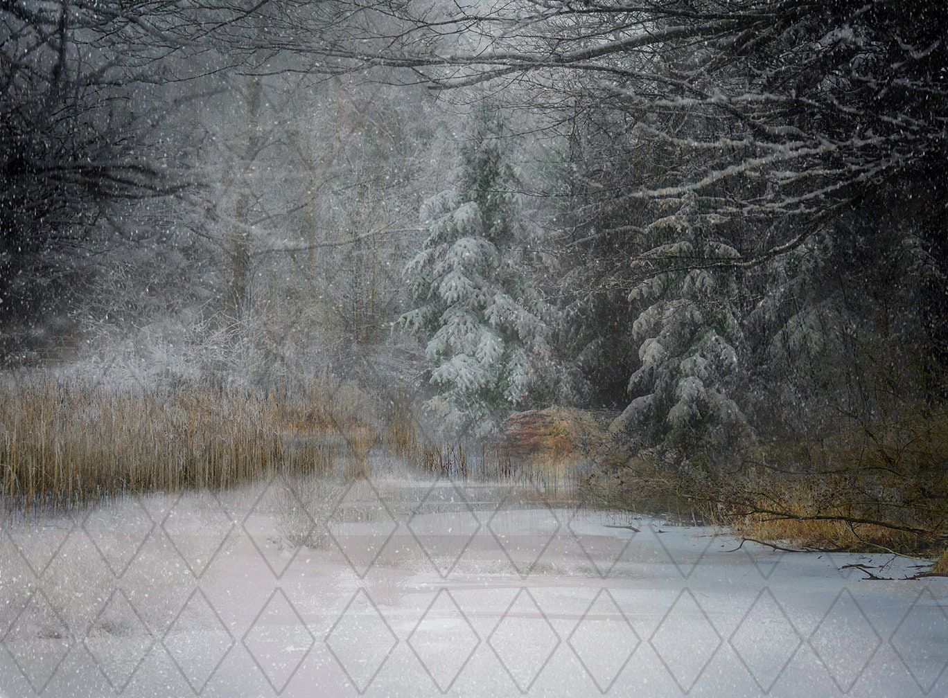 Winter Forest, Snow Overlay Included, Digital Background, Snowy ...