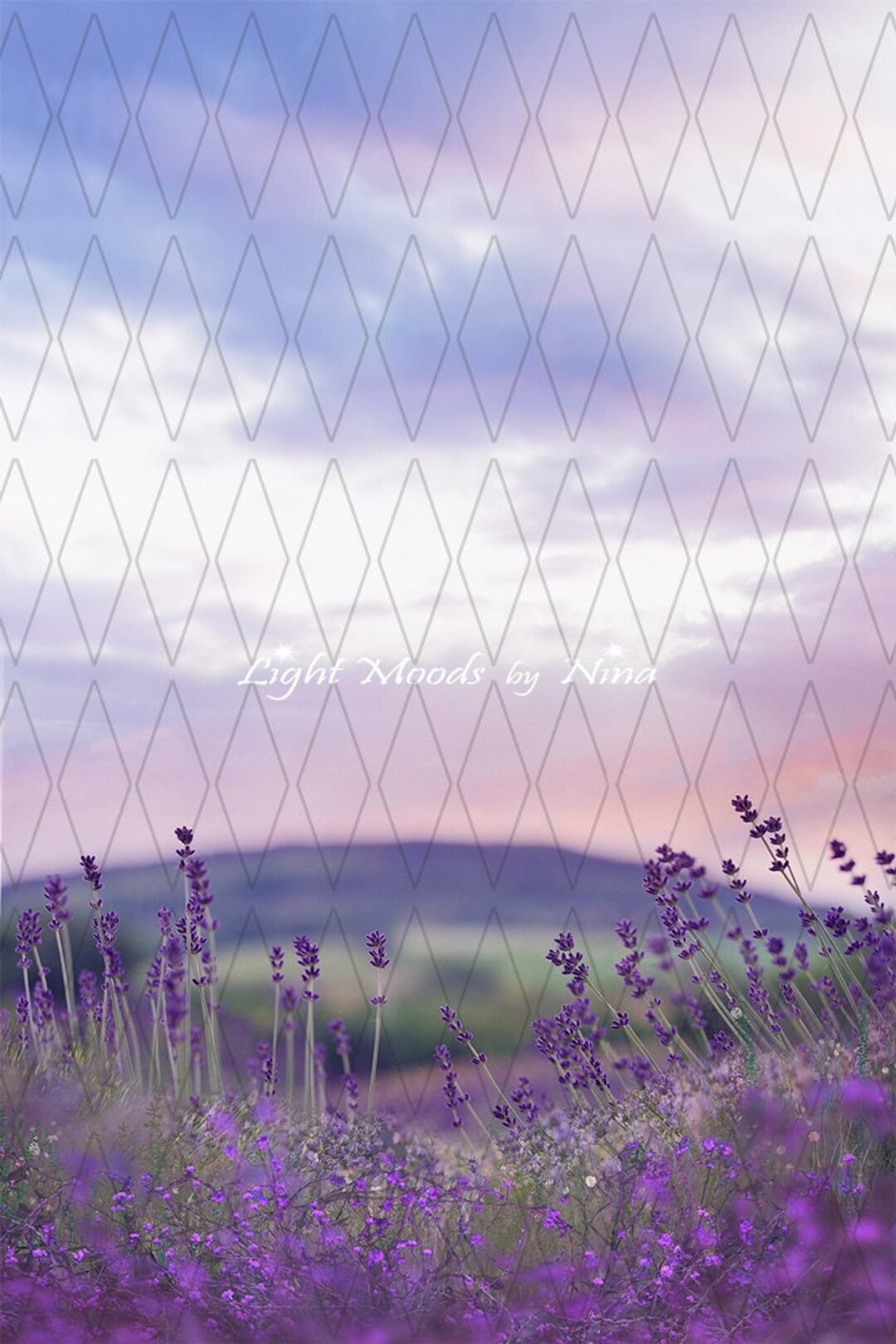 Spring Wildflower Background. Lavender Field Digital Background. Hazy ...