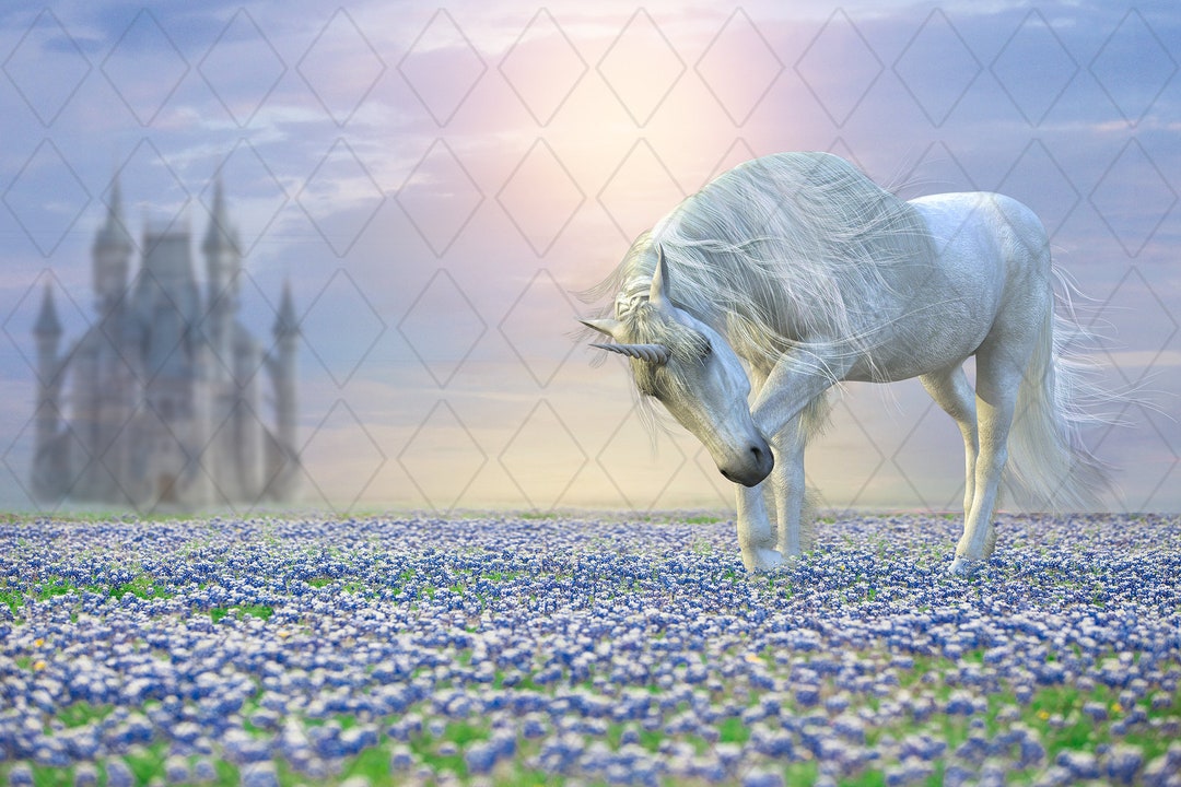 Unicorn Overlay, Digital Background, 2 Files, Dreamy Backdrop, Castle ...