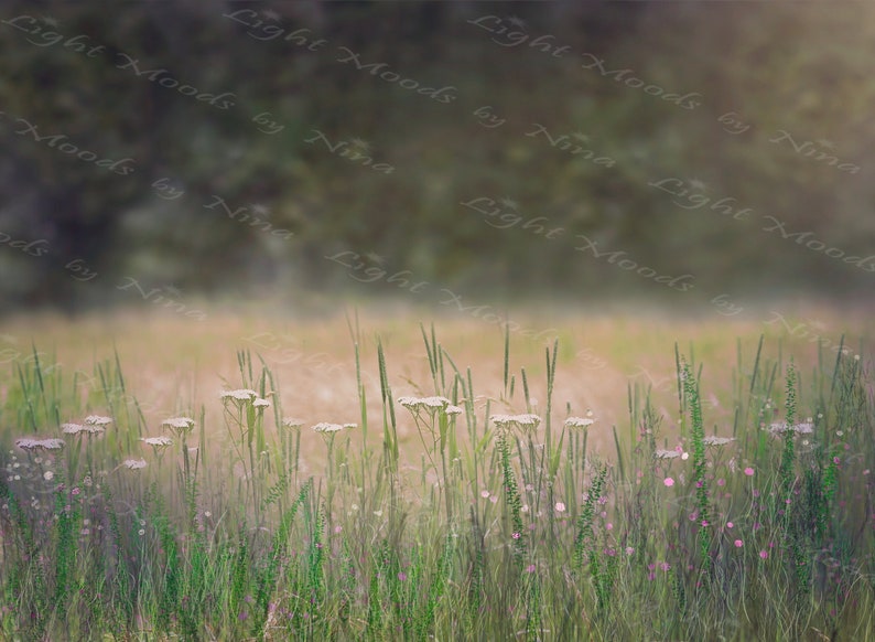 Wildflower Field Digital Background: Dreamy Forest Backdrop (instant ...