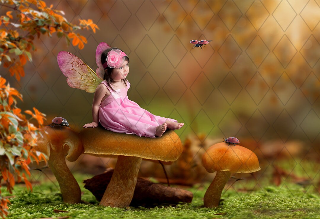Fairy on a Mushroom Digital Background, Magical Fall Background ...