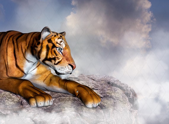 Running Tiger Wallpaper