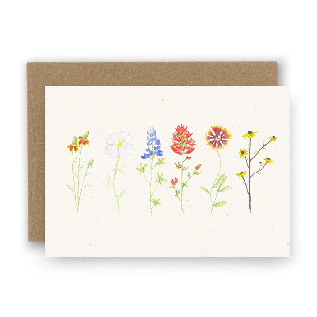Texas Wildflower Notecards - Set of 8 - Etsy