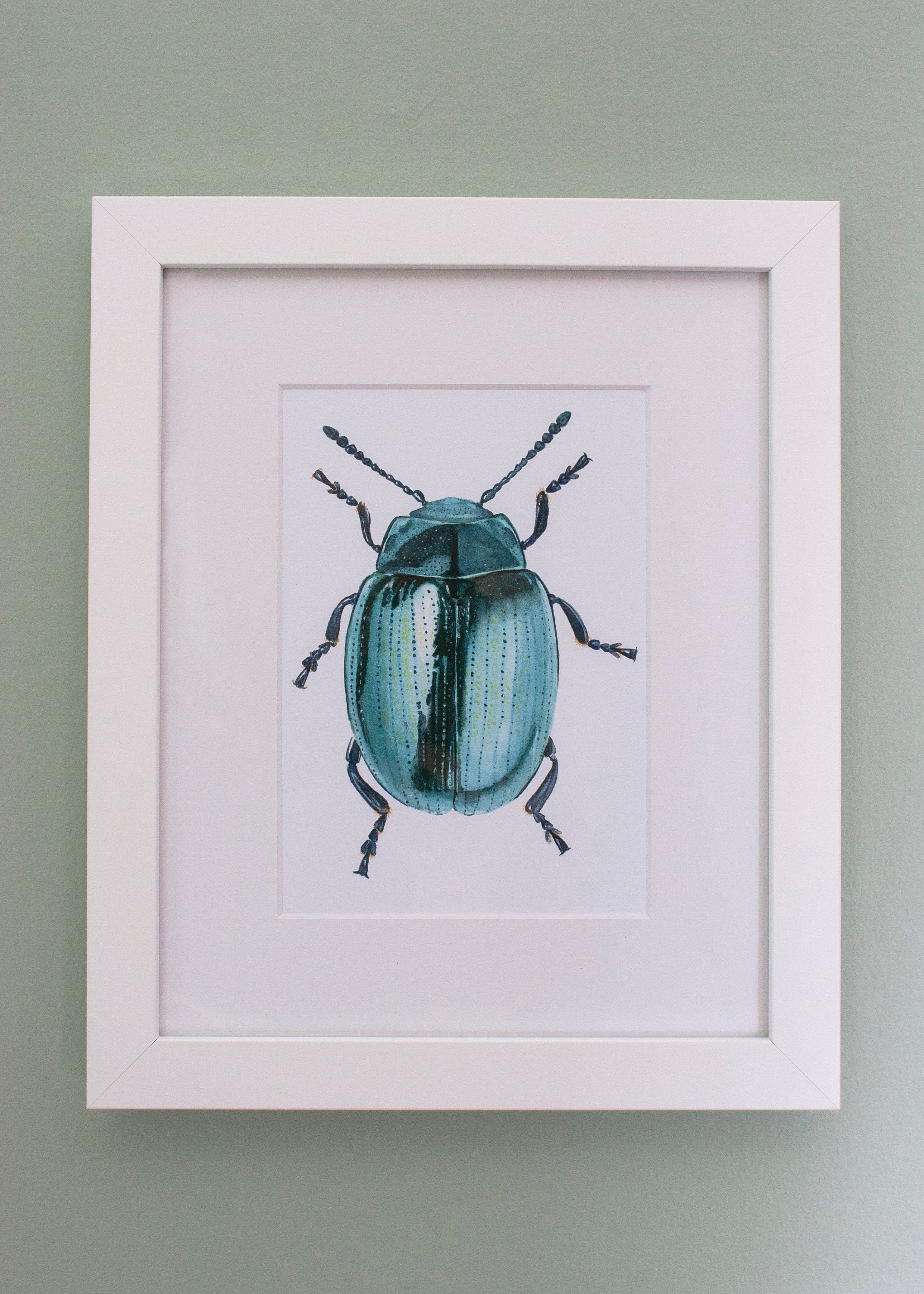 Blue Beetle Watercolor Painting, Giclée Art Print, 5x7 Insect Artwork ...