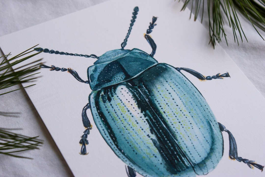 Blue Beetle Watercolor Painting, Giclée Art Print, 5x7 Insect Artwork ...