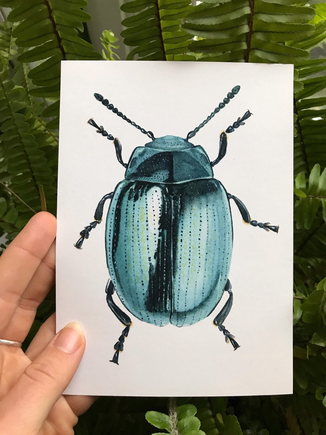 Blue Beetle Watercolor Painting, Giclée Art Print, 5x7 Insect Artwork ...
