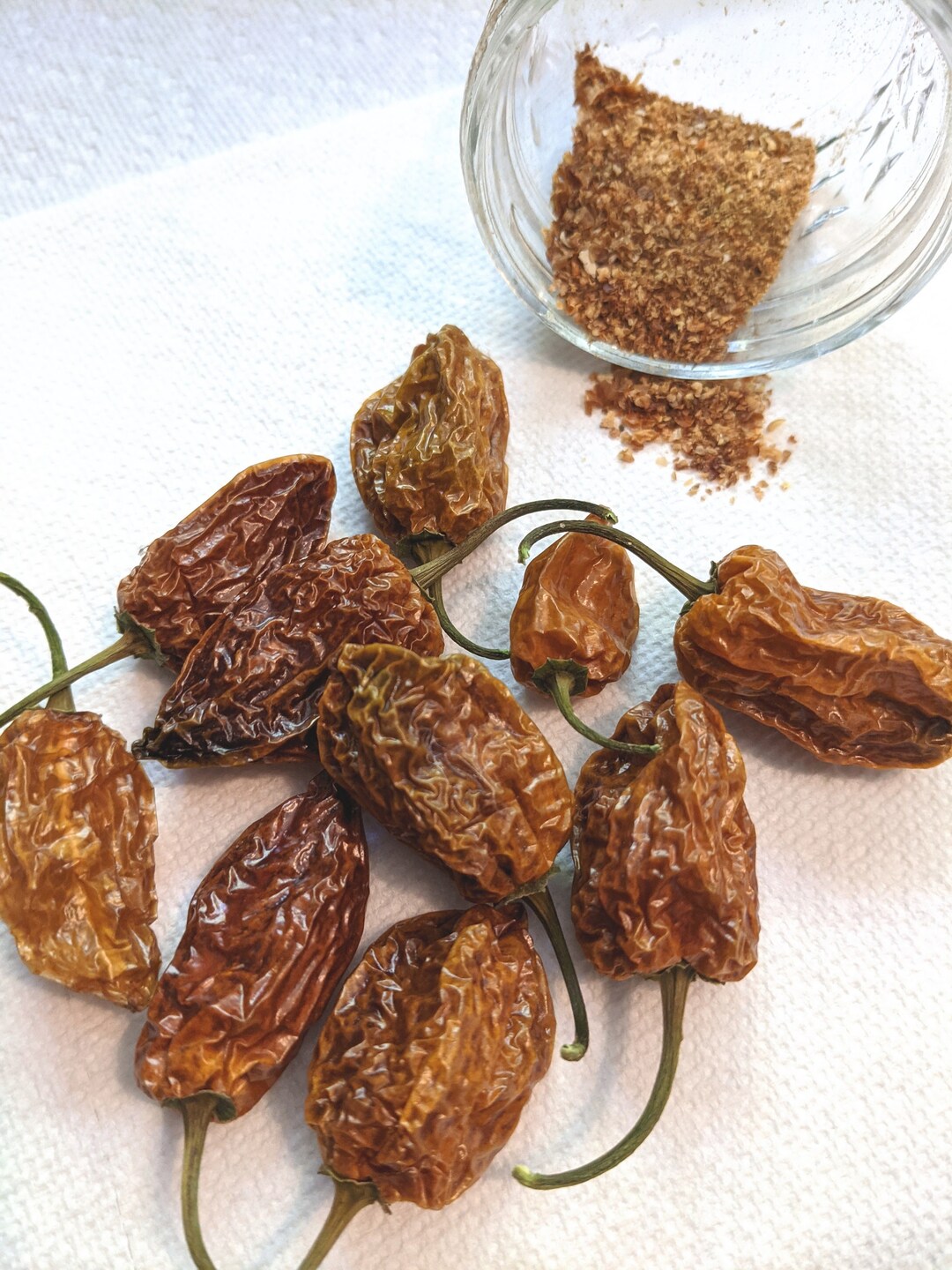 Dried Habanero Peppers – Tropical Sweet Heat - HOT PEPPERS - Etsy