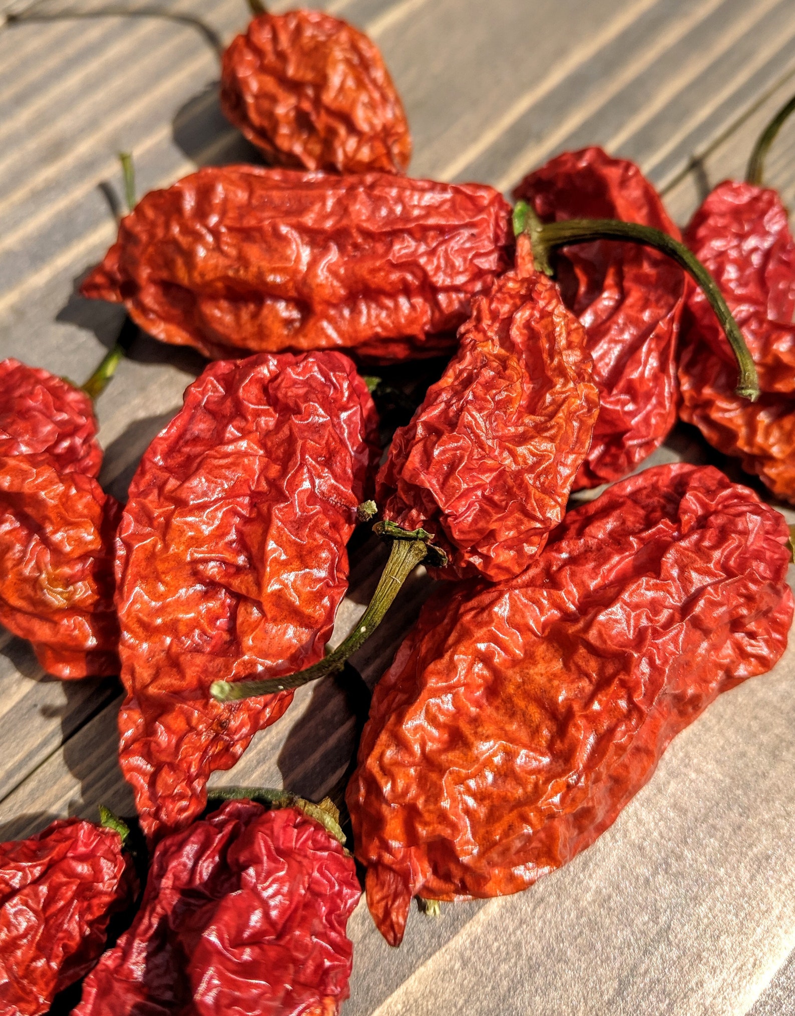 Dried Ghost Peppers – Original or Wood Smoked Flavor- HOT PEPPERS - Etsy