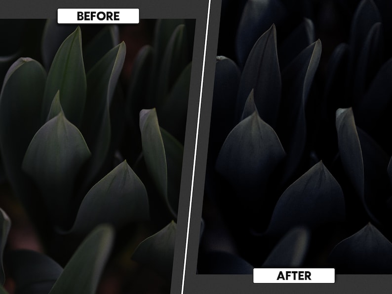 Cinebloom Lightroom Presets: Cinematic Mobile & Desktop Filters ...