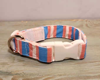 Transgender Dog Collar - Etsy