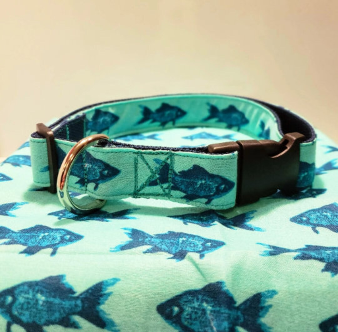 Fish Dog Collar - 4 Colors Available! - Etsy
