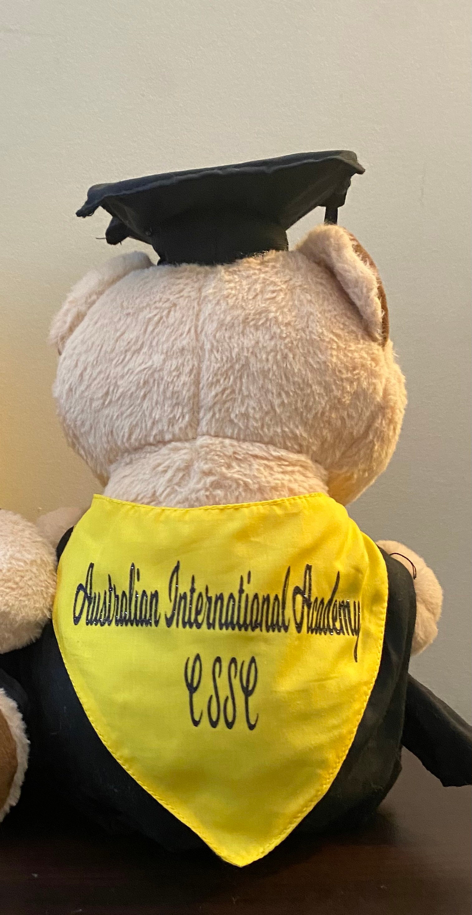 Personalised Graduation Bear - 25 and 34 Cm - Etsy Australia