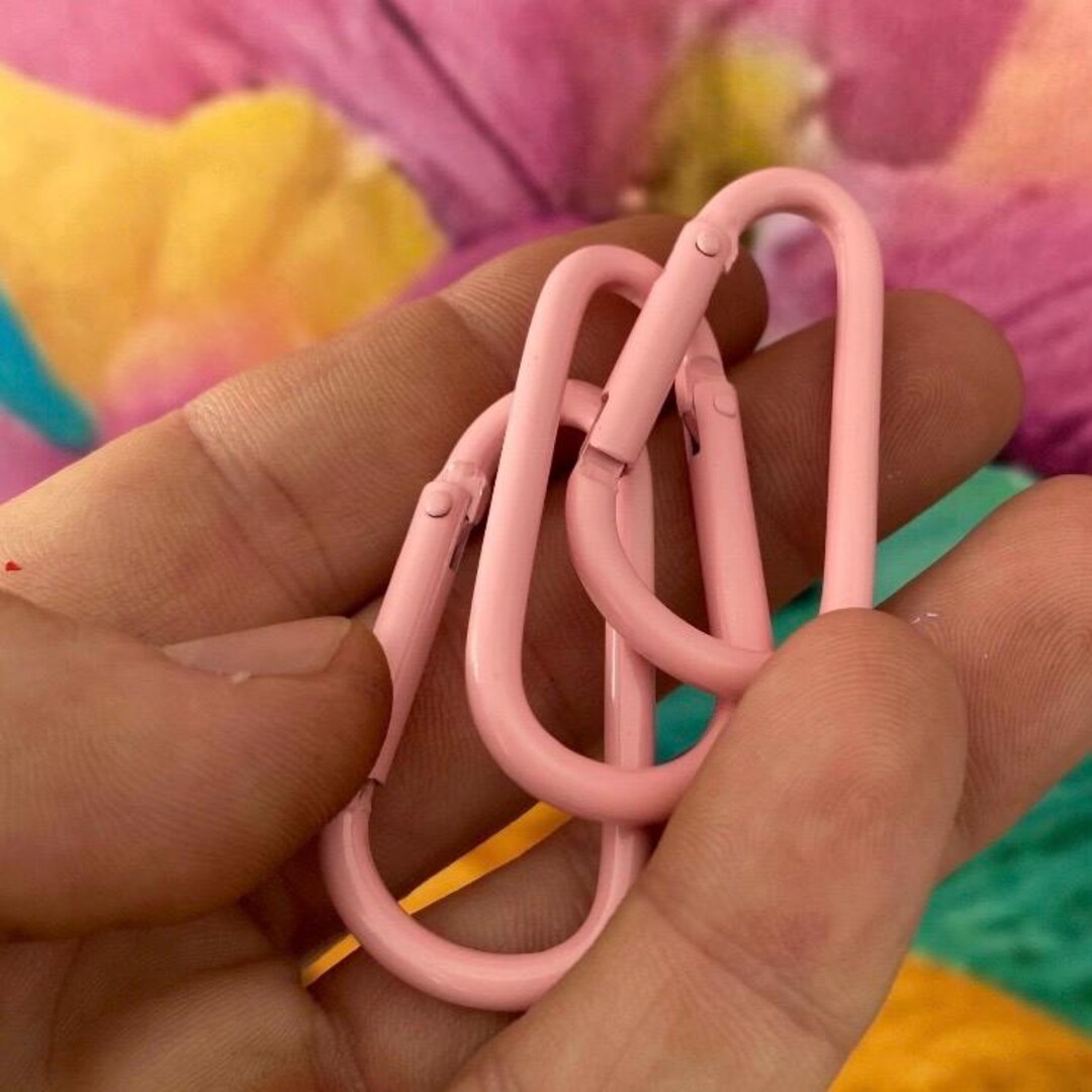 Carabiner Keychain PINK Powder Coated Pocket Push Hang Carry ...