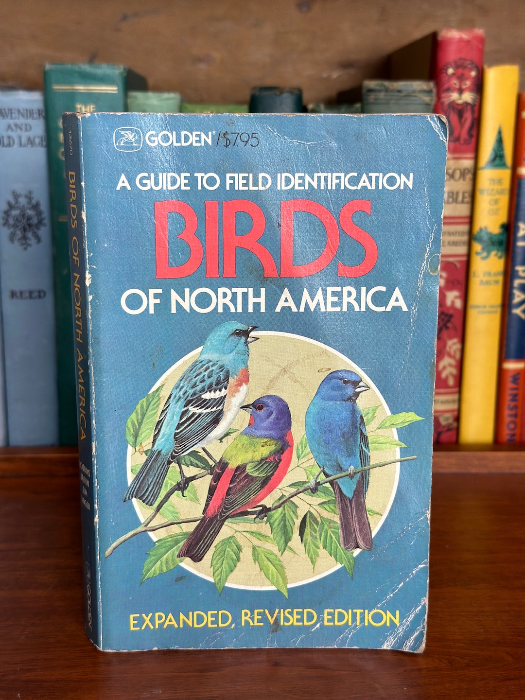 Birds of North America Guide Book Expanded Edition Birder Book - Etsy