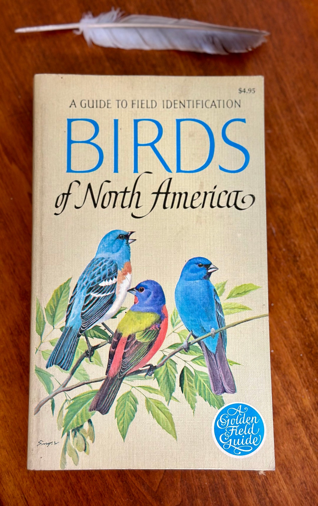 Birds of North America Guide Book Soft Cover - Etsy