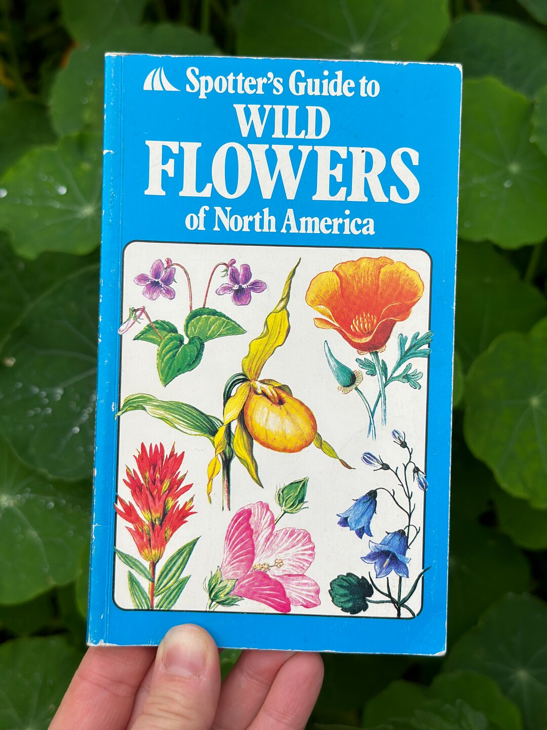 Spotters Guide to Wild Flowers of North America Pocket - Etsy