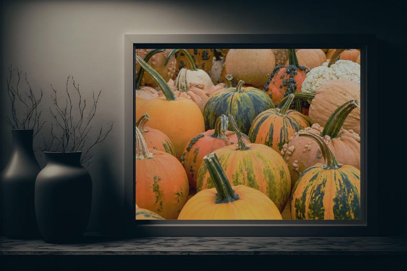 Autumn Mixed Colored Pumpkins - Digital Download - Digital Print - Etsy