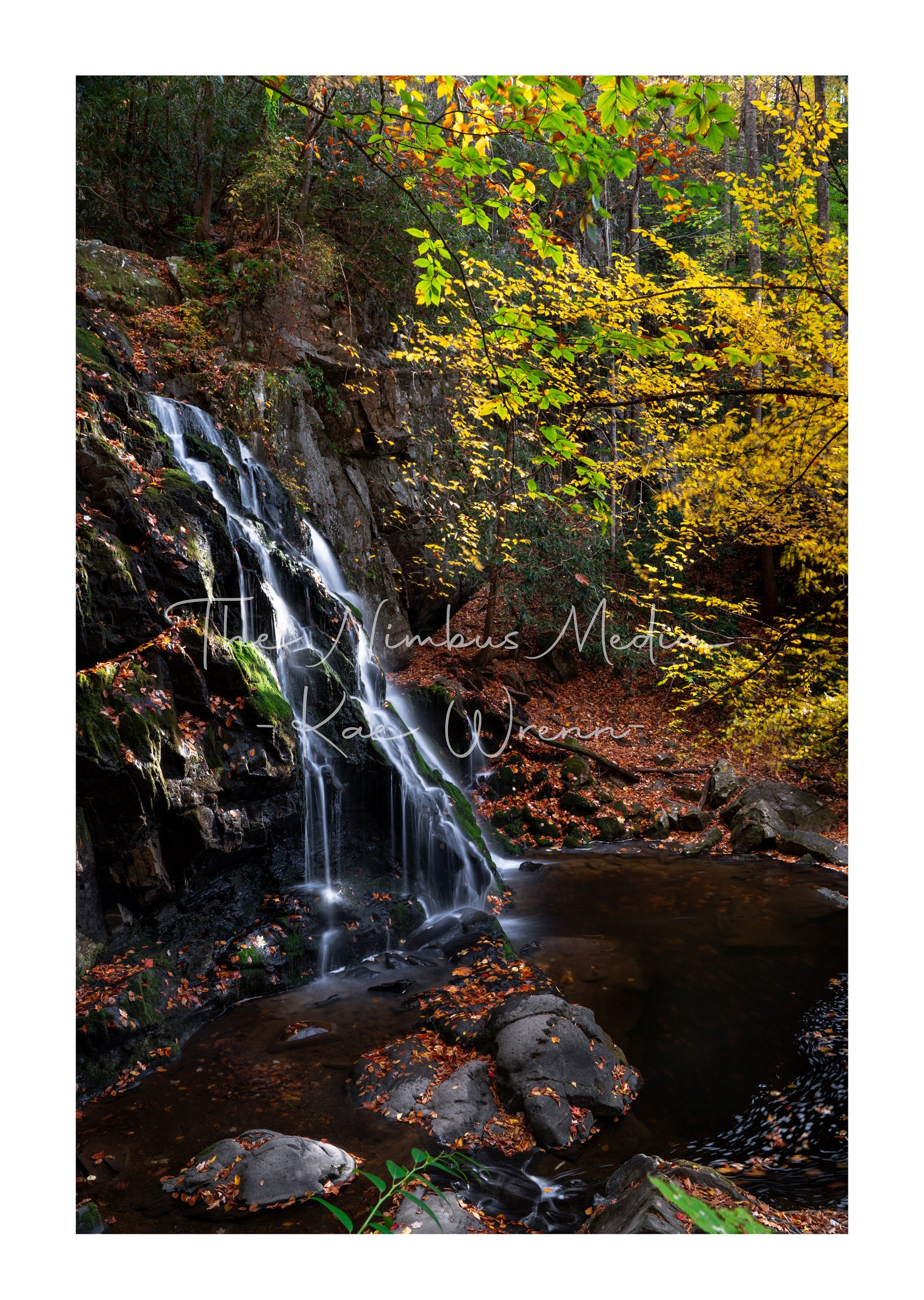 Autumn Spruce Flat Falls Great Smoky Mountains Wall Art Waterfall Wall ...