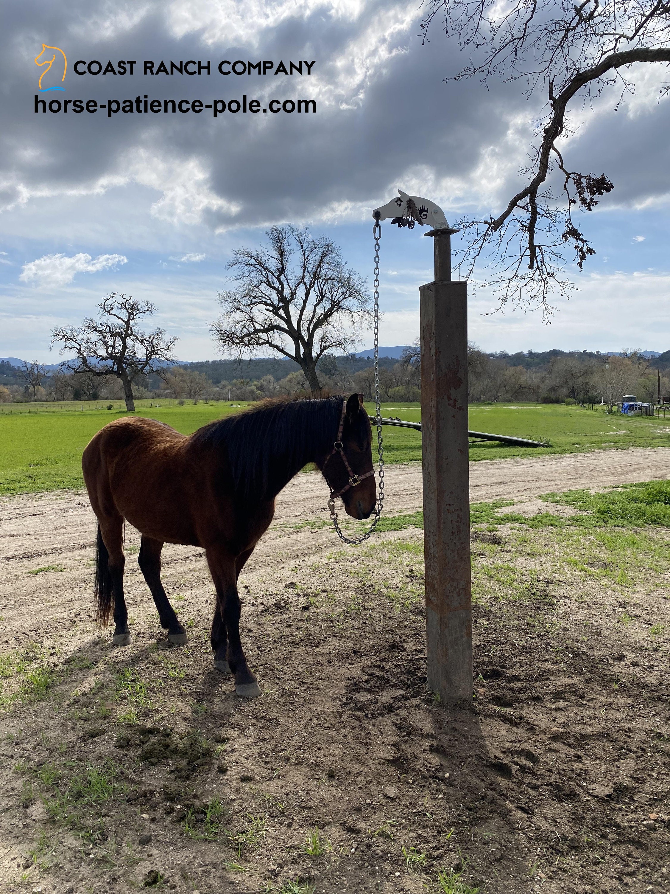 Patience Pole Swivel Top - Branch With Birds - Etsy