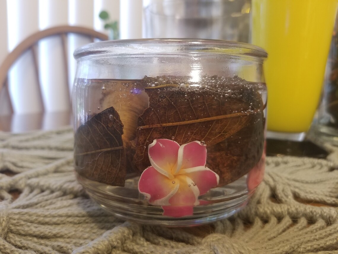 Plumeria Sandalwood & Tea Tree Gel Candle - Etsy