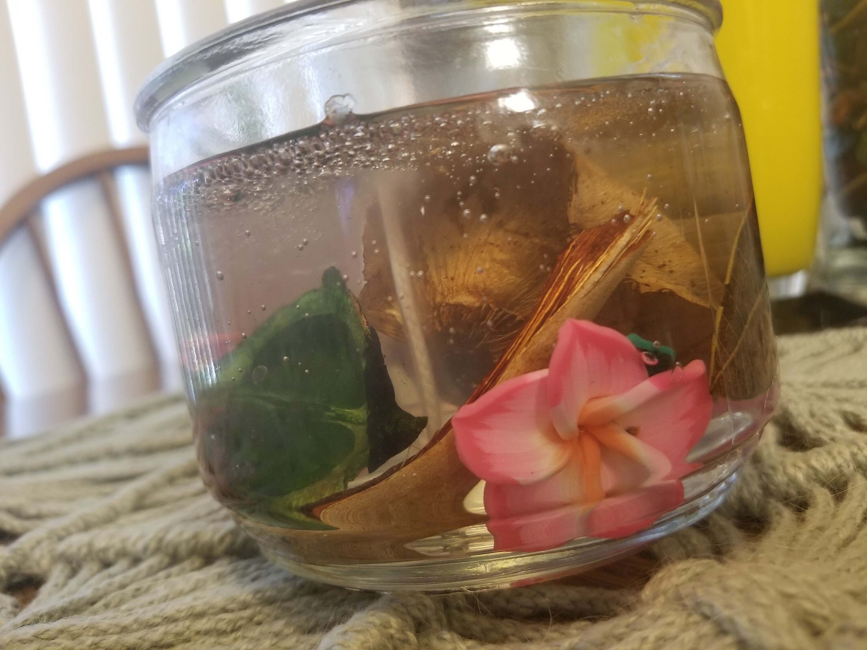 Plumeria Sandalwood & Tea Tree Gel Candle - Etsy