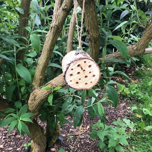 Handmade Wooden Bee Log/insect Log, Bee Hive, Rustic, Garden Decoration ...