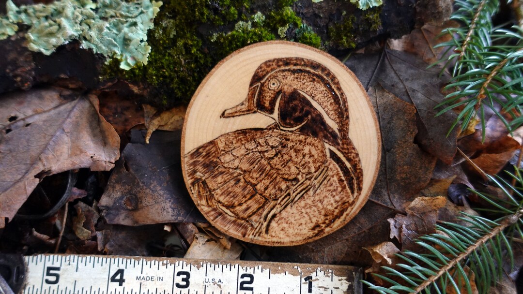 Wood Duck Pyrography on Basswood Tree Slice Magnet - Etsy