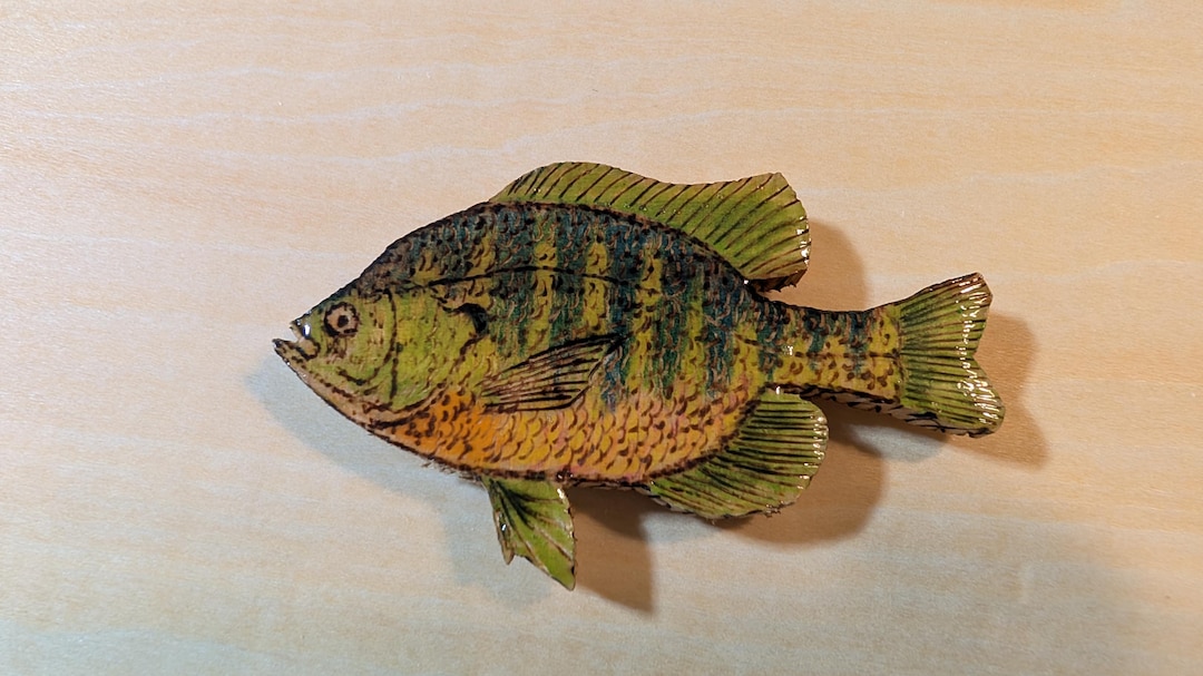 Bluegill Fish Magnet – Rustic Handcrafted Cabin Décor Gift - Etsy