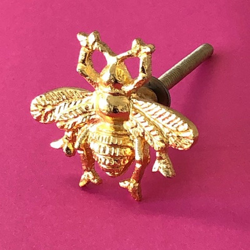 Insect Drawer Knobs - Etsy