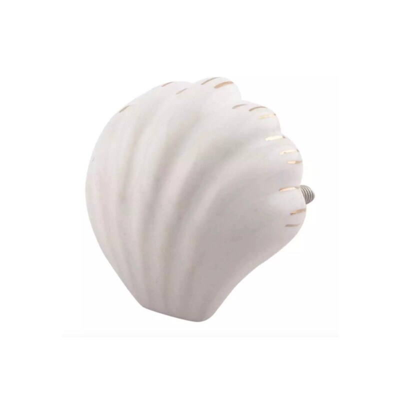 Seashell Knobs - Etsy