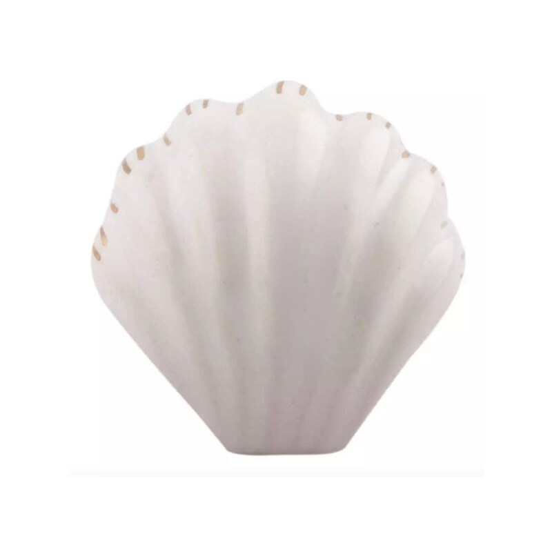 Seashell Knobs - Etsy